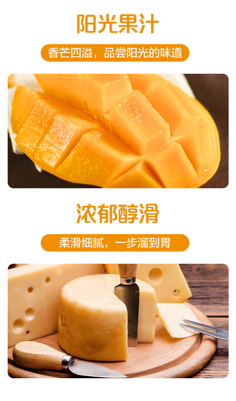 蒙牛纯甄酸奶230g*10瓶整箱装小蛮腰高端原味轻酪乳风味酸牛奶黄桃藜麦/红西柚/芒果芝士多口味可选 【白桃石榴】纯甄小蛮腰230g*10瓶整箱-融创集采商城