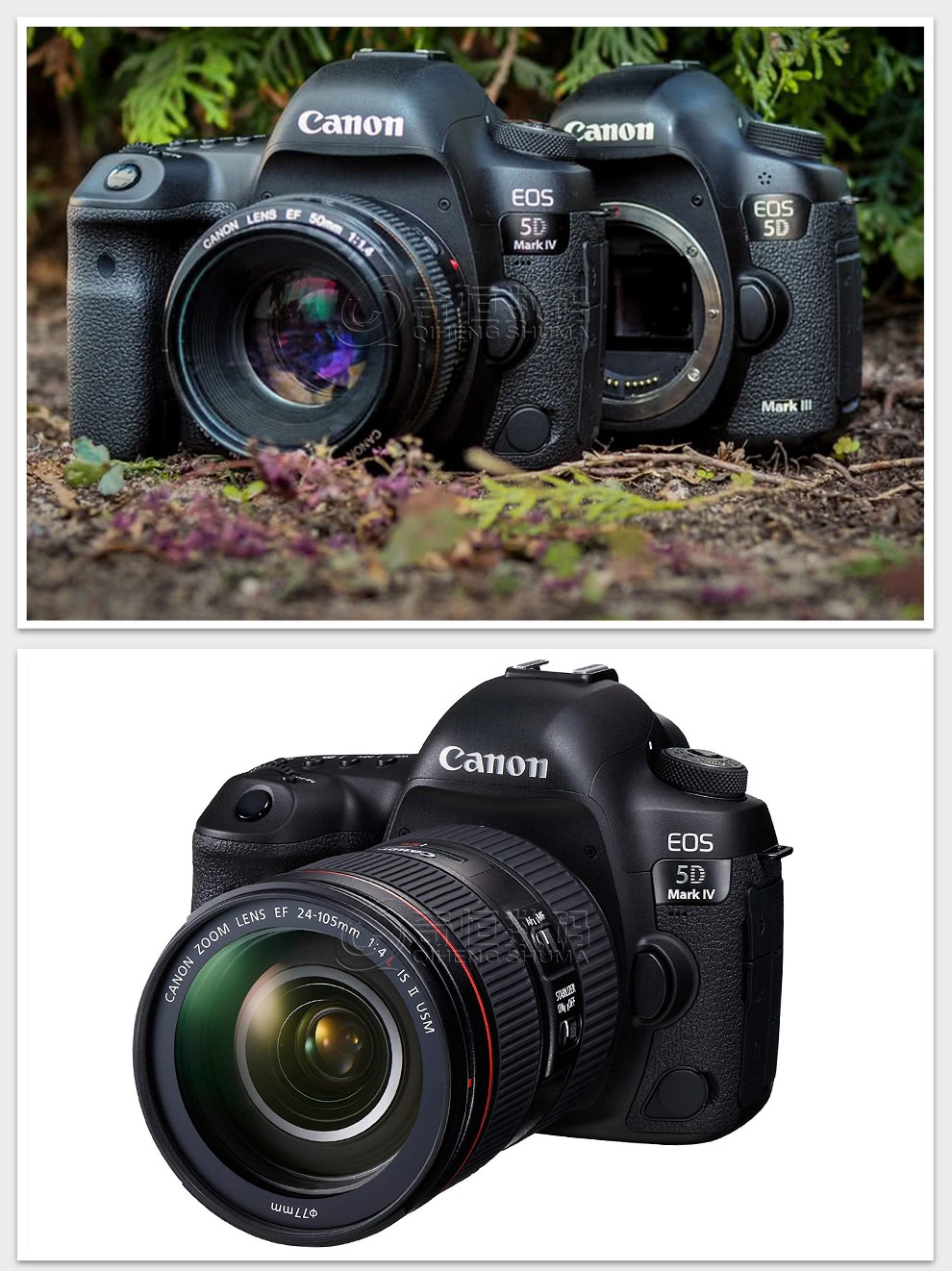 佳能/Canon 5D2 5D3 5D4 5d3 5d4 二手单反相机 全画幅专业级数码相机 95新 5D Mark IV 5D4 机身【图片 价格 品牌 报价】-京东