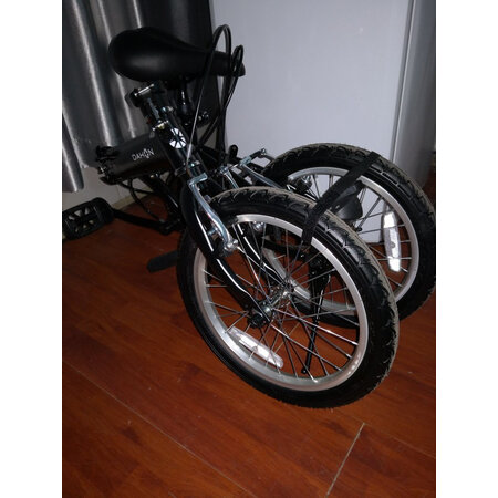 真实剖析大行（DAHON）KT610感受分享，谁买过呀，客观评价下！