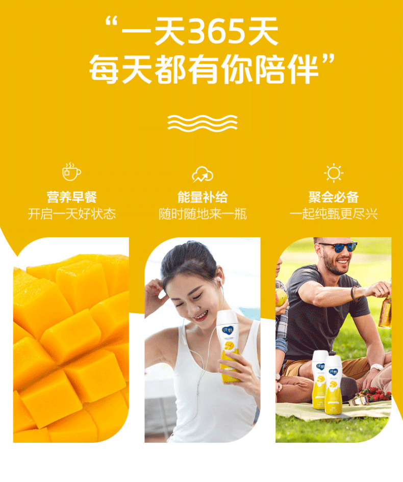 蒙牛纯甄酸奶230g*10瓶整箱装小蛮腰高端原味轻酪乳风味酸牛奶黄桃藜麦/红西柚/芒果芝士多口味可选 【白桃石榴】纯甄小蛮腰230g*10瓶整 ...