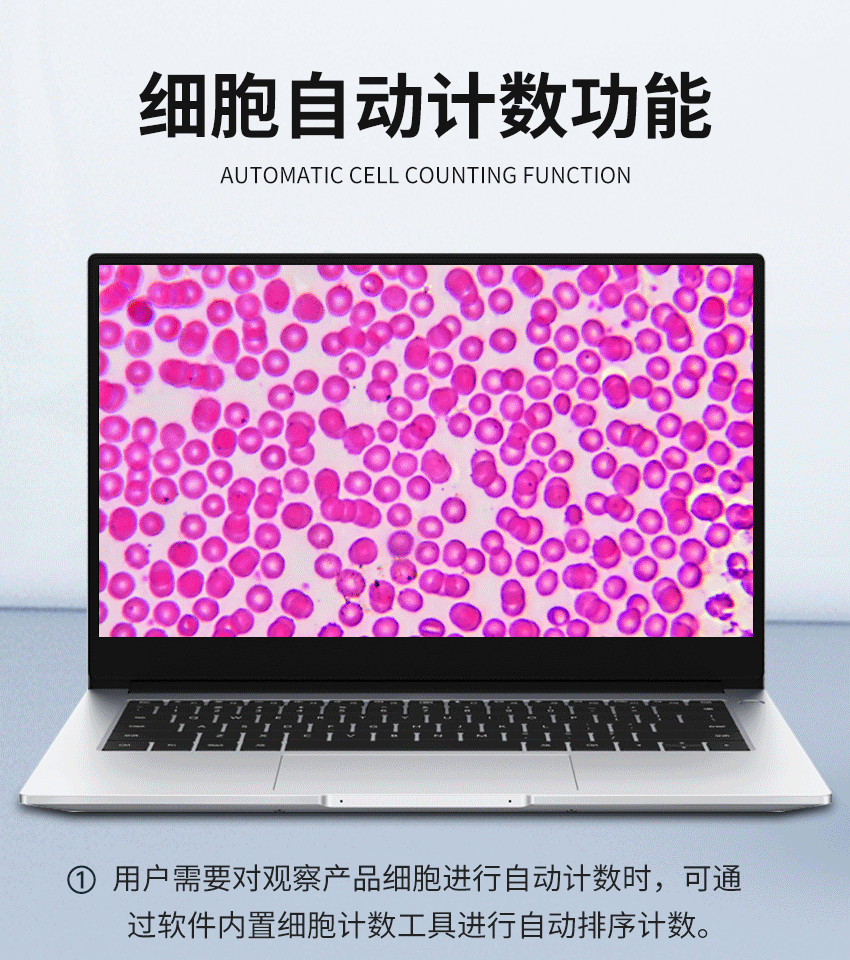 奥斯微（AOSVI） 生物显微镜1600倍接电脑放大专业科学实验高中科普 PH50-3M180（1800万像素/3.0）【图片 价格 品牌 ...