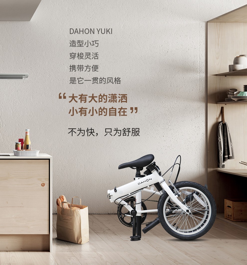 大行（DAHON） 折叠自行车16英寸单速男女式学生自行车上班通勤单车KT610 消光蓝【图片 价格 品牌 报价】-京东