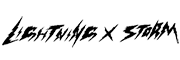 LIGHTNING X STORM旗舰店 - 京东