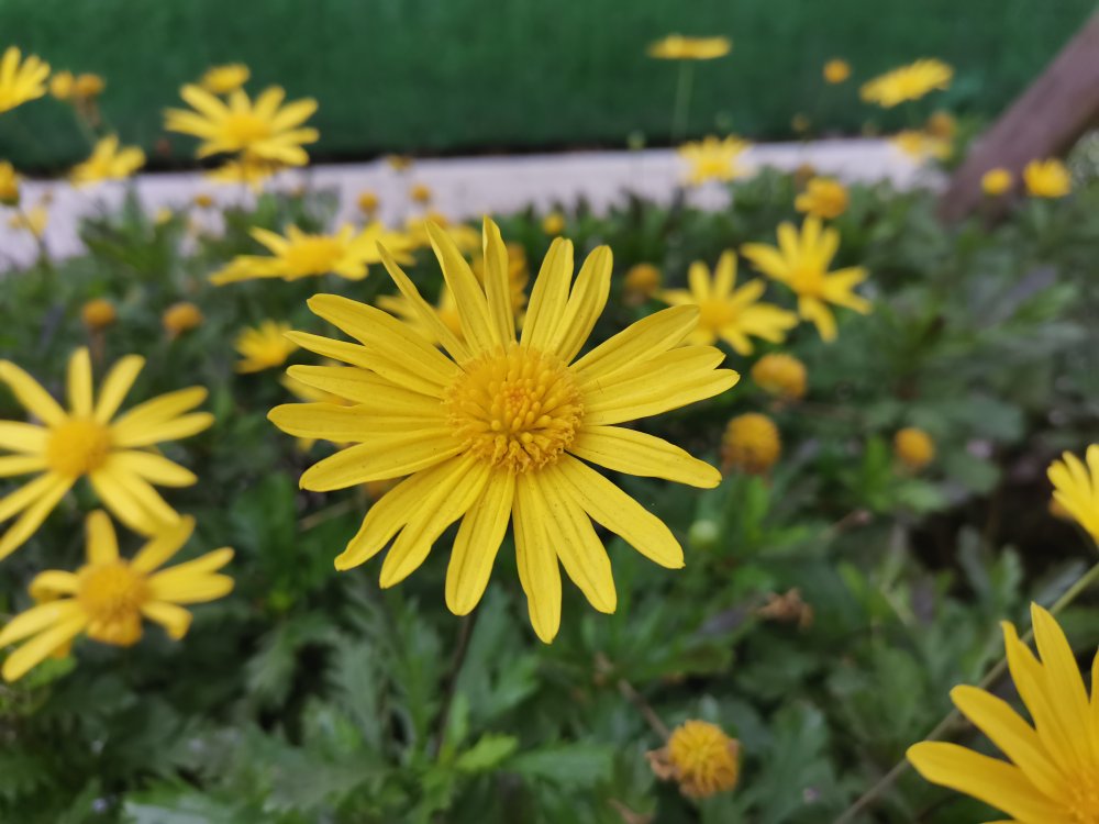 【索尼A6400 单机怎么样】索尼A6400 单机好不好_好吗-ZOL中关村在线