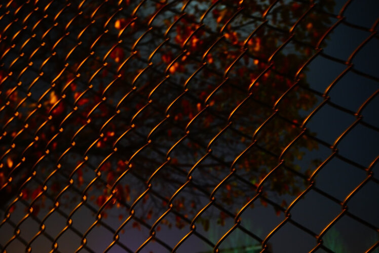 一张图比较索尼fw50和fZ100能通用吗，深度剖析功能区别！-都市良品